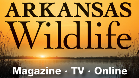 Arkansas Game and Fish Commission